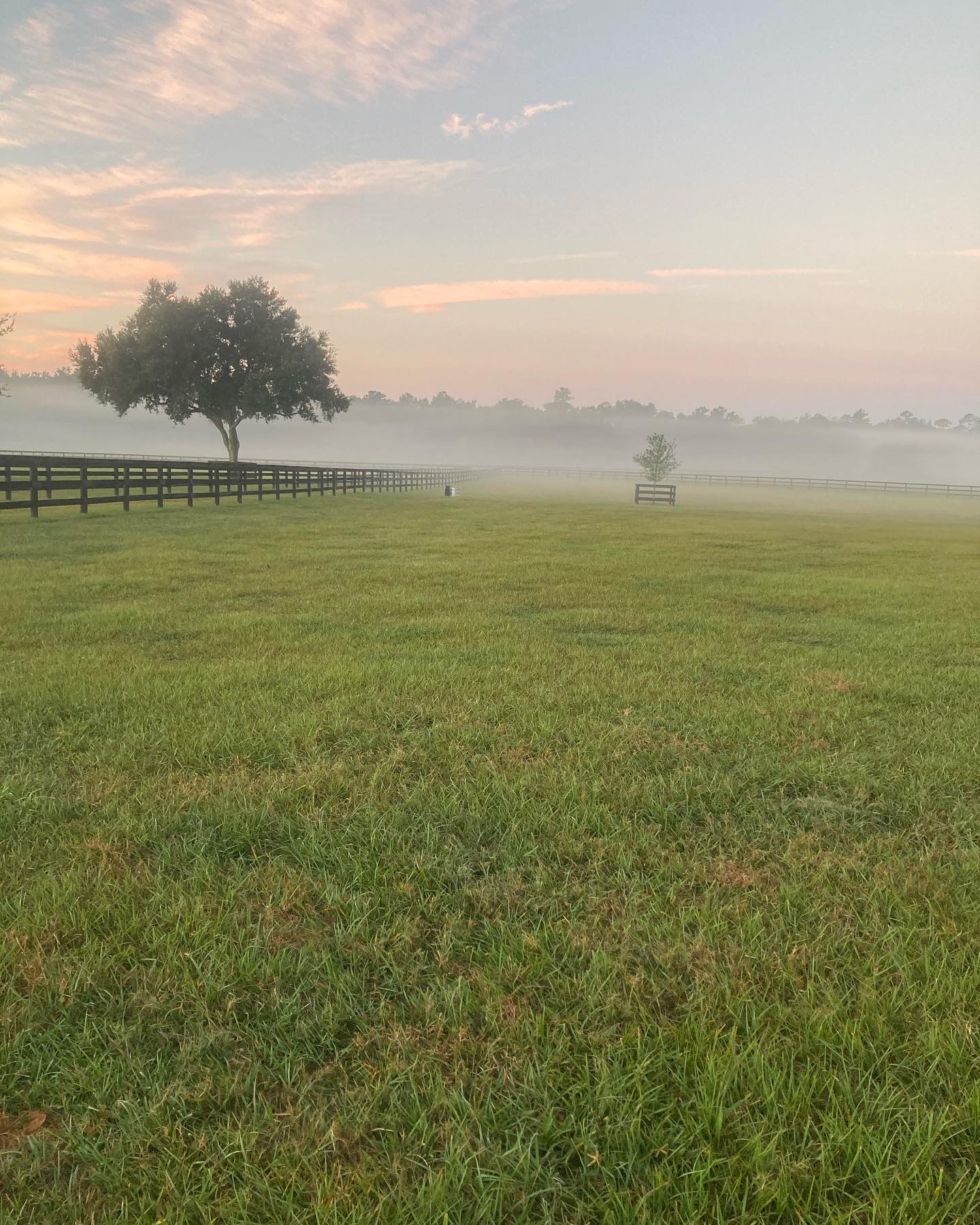 Pasture Spraying - Equine Turf